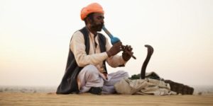 Why do snakes dance to a flute? - Kidpid
