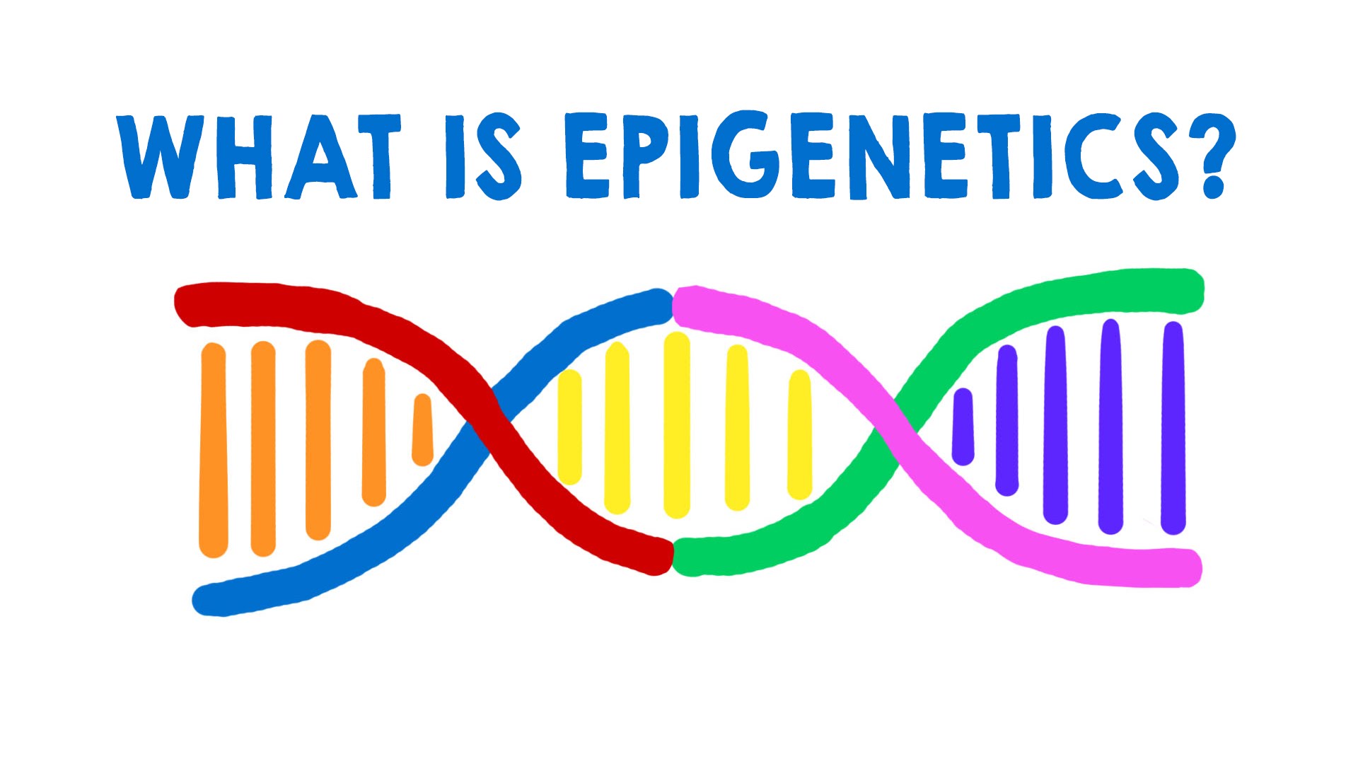 Epigenetics Vs Genetics