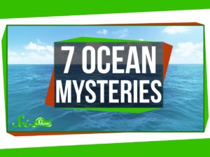 7 Things We Don't Know About the Ocean - Kidpid