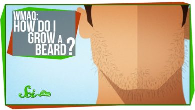 World's Most Asked Questions: How Do I Grow a Beard? - Kidpid