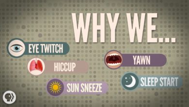 5 Weird Involuntary Behaviors Explained! - Kidpid