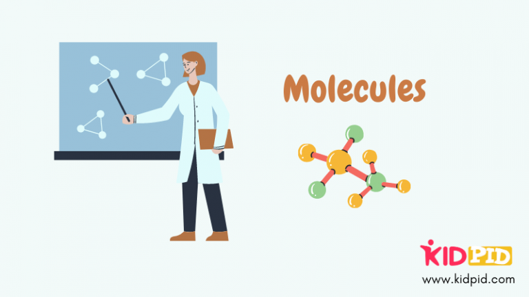 What is a Molecule? - Kidpid