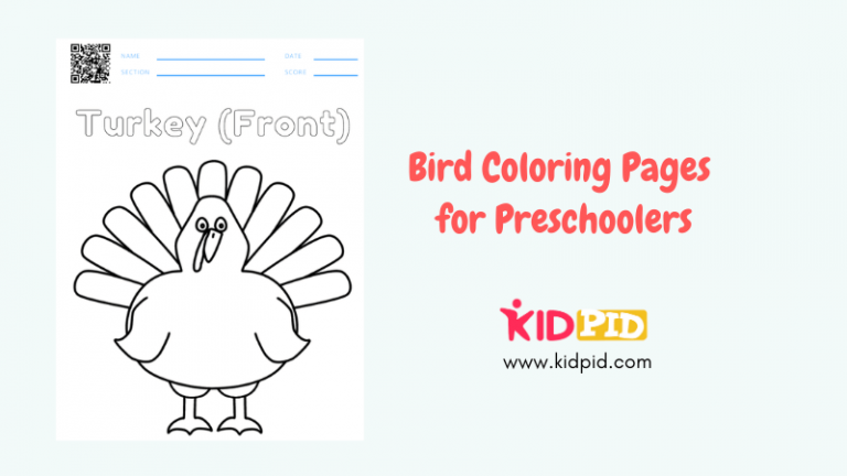 Bird Coloring Pages for Preschoolers - Free Printables (PDFs) - Kidpid