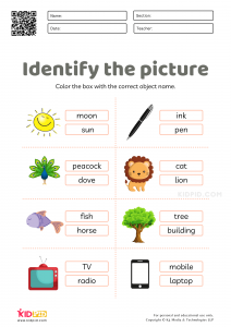 Identifying Objects Words Worksheets for Kids - Kidpid