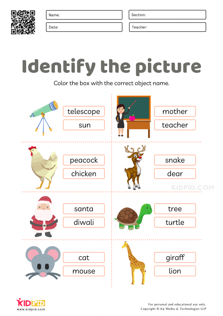 Identifying Objects Worksheets