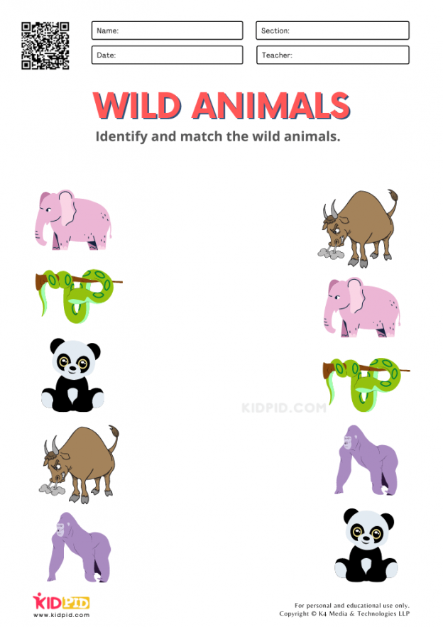 Wild Animals Worksheets for Kindergarten - Kidpid