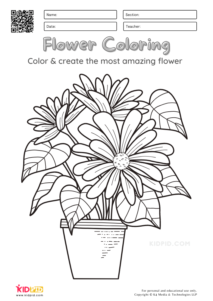 Flower Structure And Reproduction Worksheet Coloring Key Best Flower Site Flower Structure And Reproduction Worksheet Coloring Key Best Flower Site