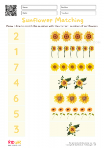 Sunflower Number Matching Worksheets for Kids - Kidpid