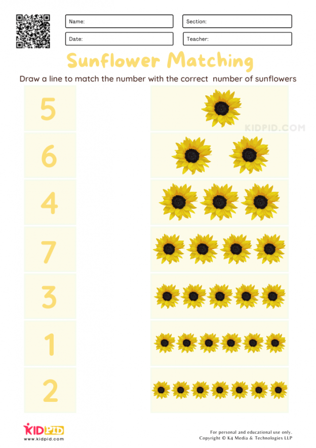 Sunflower Number Matching Worksheets for Kids - Kidpid