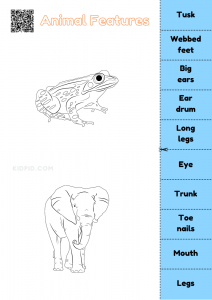 Labelling Animal Features Worksheets for Kids - Kidpid