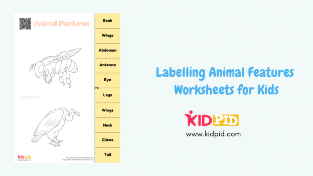 Labelling Animal Features Worksheets for Kids - Kidpid