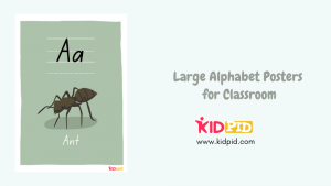 Large Alphabet Posters for Classroom - Kidpid