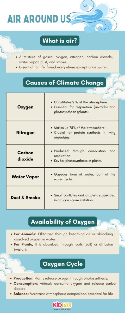 Air Around Us - Kidpid