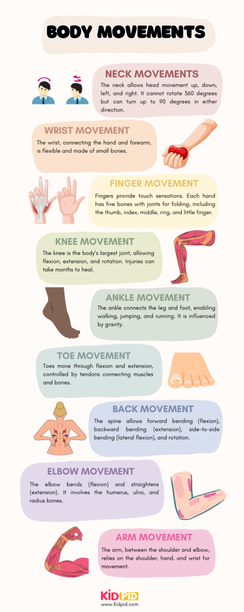 Body Movements - Kidpid