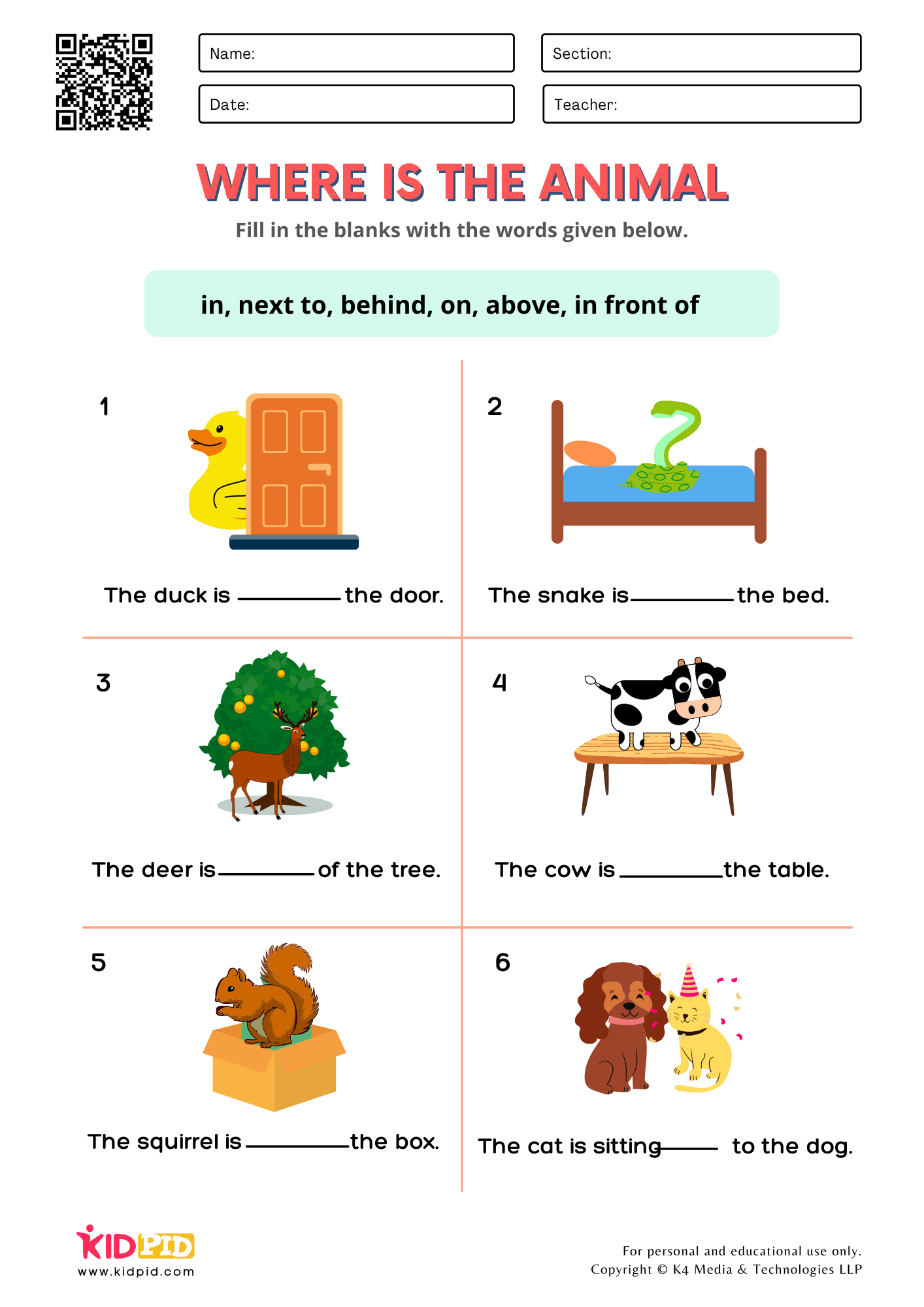 Object Preposition Exercises