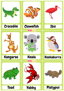 Australian Animals Flashcard Sheets - Kidpid