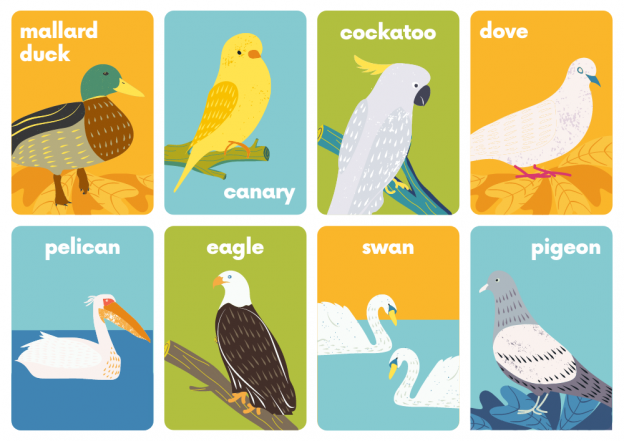 Birds Green and Yellow Flashcard Sheets - Kidpid