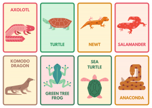 Reptiles Flashcard Sheets - Kidpid