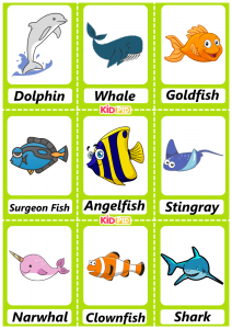 Sea Creatures Handdrawn Flashcard Sheets - Kidpid