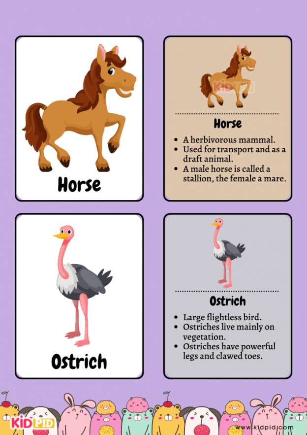 Animal Flashcards for Toddlers - Kidpid