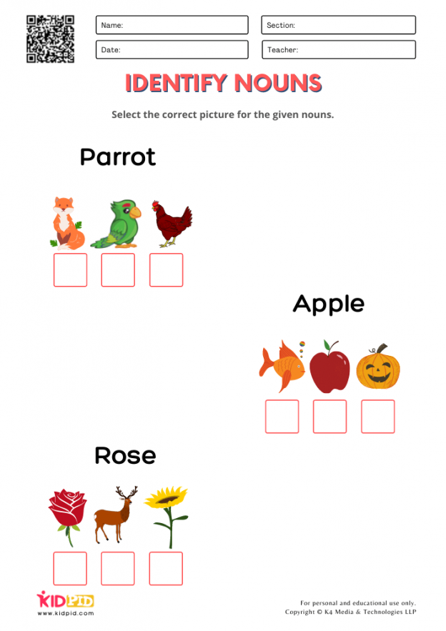 Nouns With Pictures Worksheets for Grade 1 - Kidpid