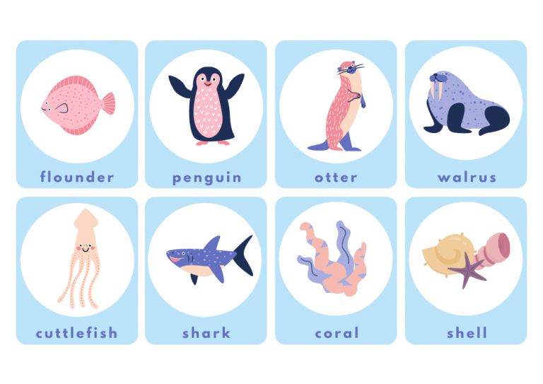 Under the Sea Flashcards - Kidpid