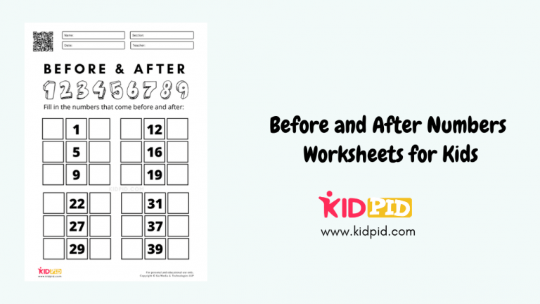 Before and After Numbers Worksheets for Kids - Kidpid