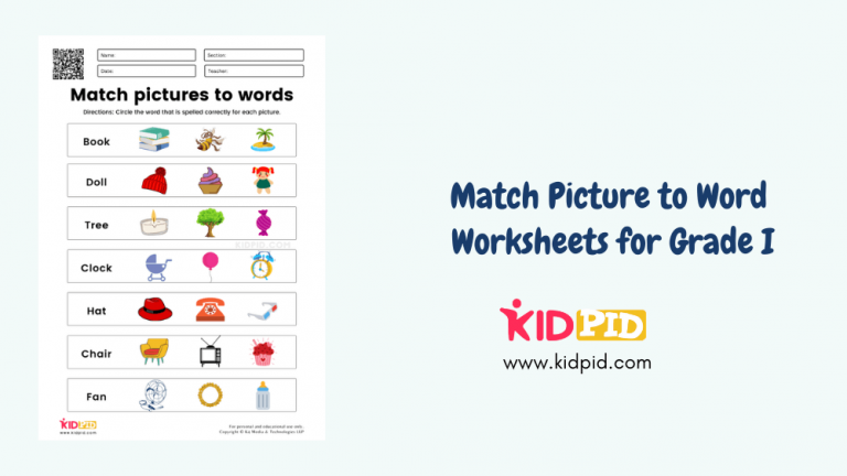 Match Picture to Word Worksheets for Grade 1 - Kidpid