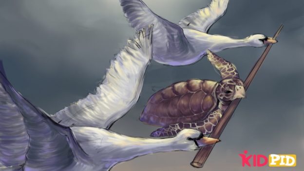 Story of A Foolish Tortoise - Kidpid