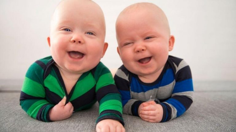 Why Do Twins Look The Same Kidpid