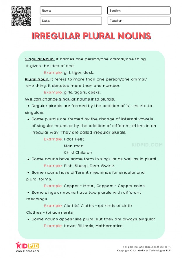 Irregular Plural Nouns Printable Worksheets for Grade 2 - Kidpid