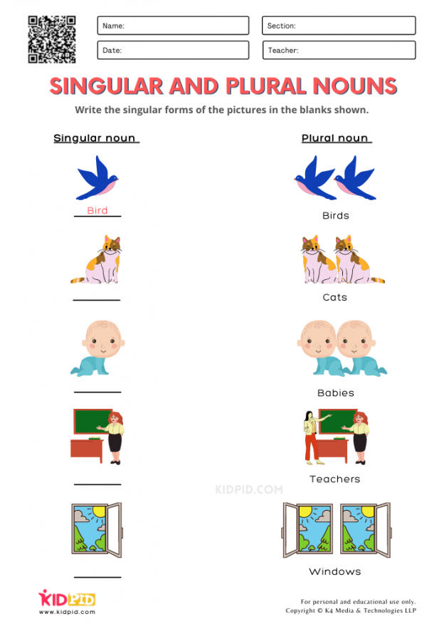 Write Singular Nouns Printable Worksheets for Grade 1 - Kidpid