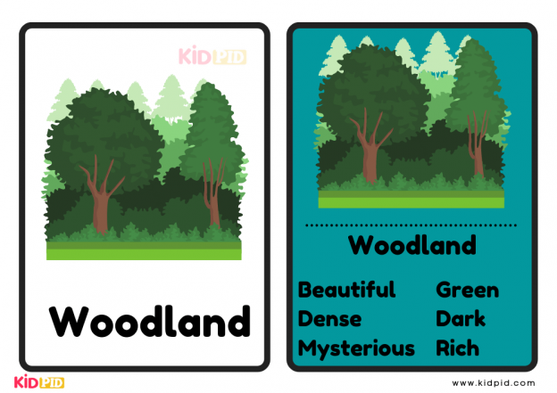 Setting Description Writing Prompt Flashcards - Kidpid