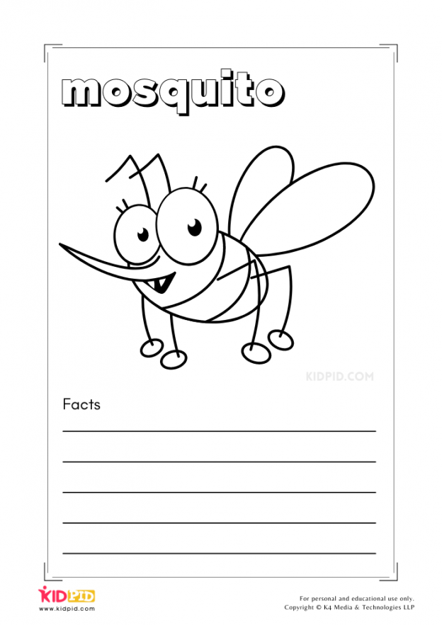 Minibeasts Coloring and Writing Book - Kidpid
