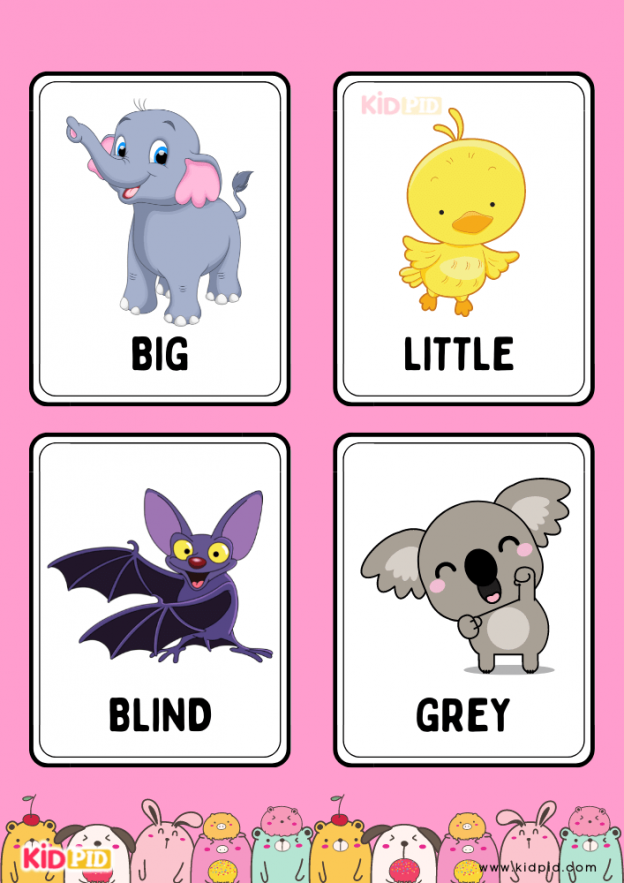 Animal Adjectives Flashcards - Kidpid