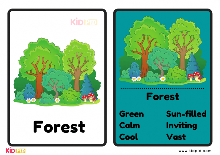 Setting Description Writing Prompt Flashcards - Kidpid