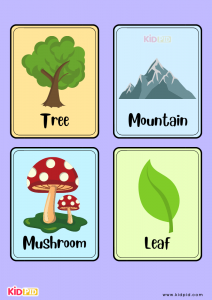 Things We See Outside Flashcard Sheets - Kidpid