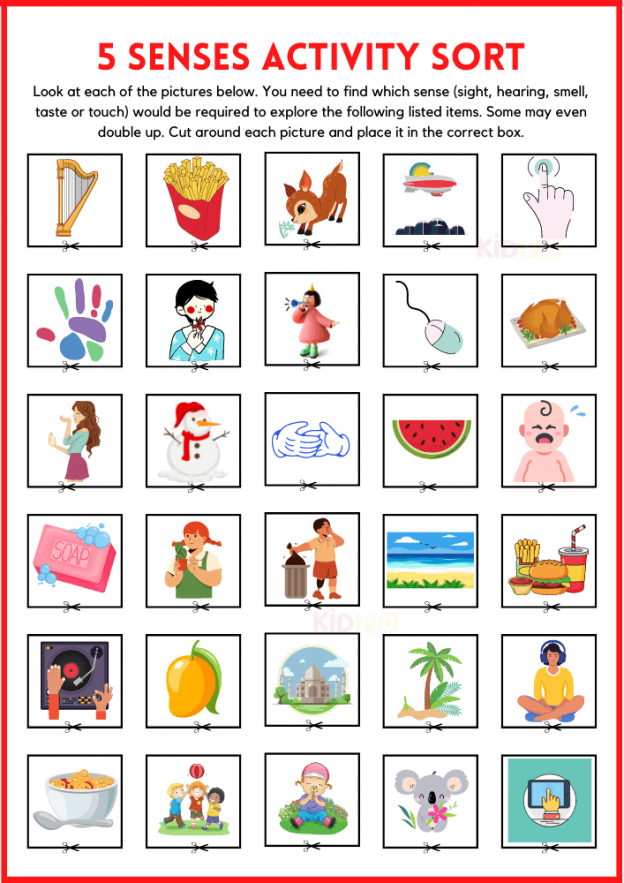 Sense Activity Sort Worksheets - Kidpid