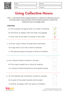 Using Collective Nouns Printable Worksheets for Grade 2 - Kidpid