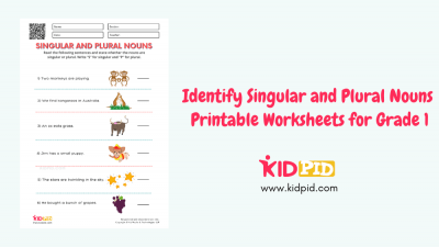 Identify Singular and Plural Nouns Printable Worksheets for Grade 1 ...