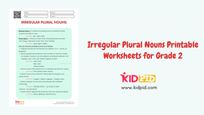 Irregular Plural Nouns Printable Worksheets for Grade 2 - Kidpid