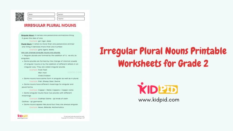 Irregular Plural Nouns Printable Worksheets for Grade 2 - Kidpid