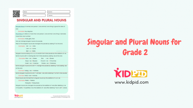 Singular and Plural Nouns for Grade 2 - Kidpid