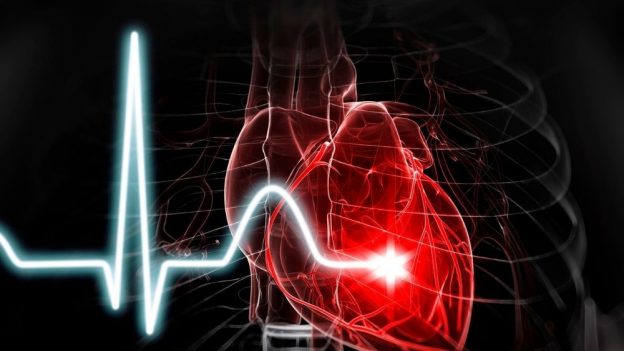 Why does my heart beat? - Kidpid