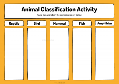 Animal Classification Sorting Worksheet - Kidpid