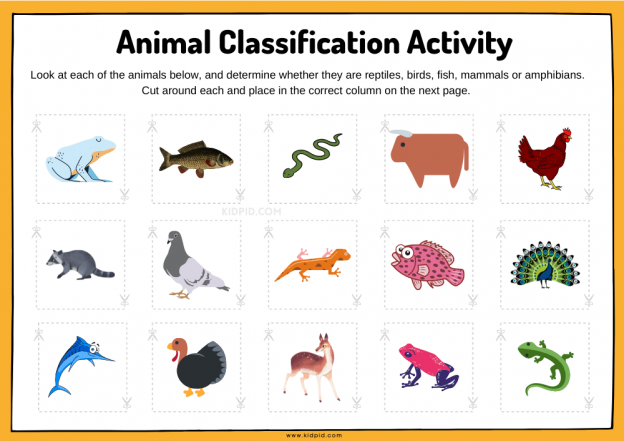 Animal Classification Sorting Worksheet - Kidpid