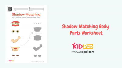 Shadow Matching Body Parts Worksheet - Kidpid