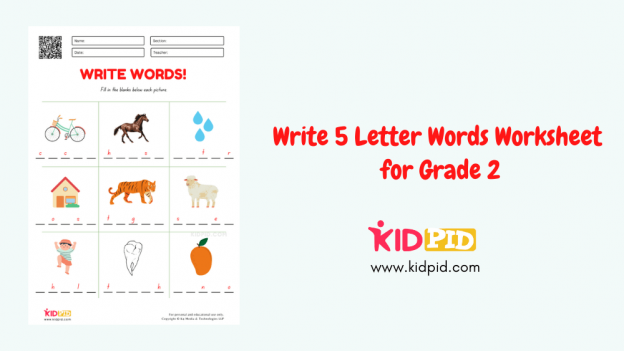 Write 5 Letter Words Worksheet for Grade 2 - Kidpid