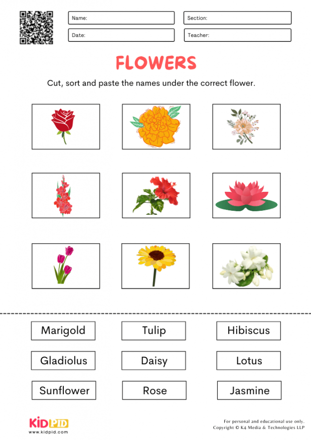 Cut Paste Objects Matching Activity Printable Worksheets - Kidpid