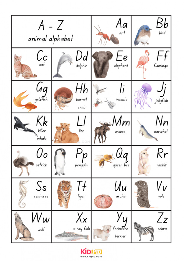 Colorful Alphabet Poster Printable for Toddlers & Preschoolers - Kidpid
